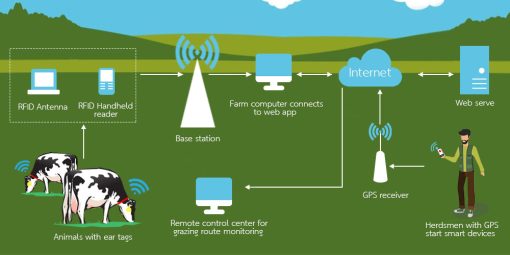 RFID Tags for Animals in the Livestock Industry